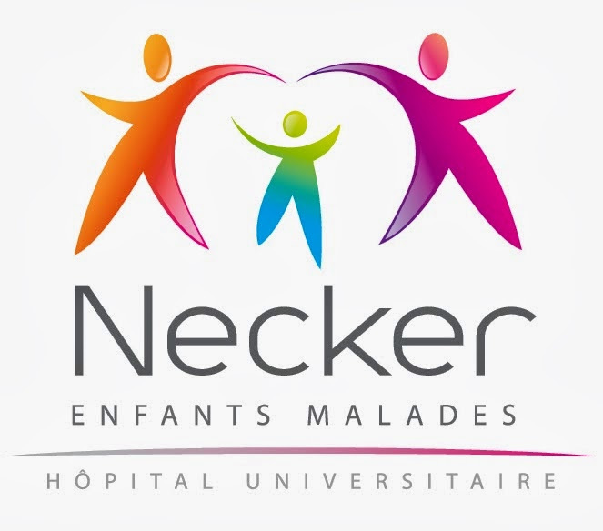 VidjilNet consortium